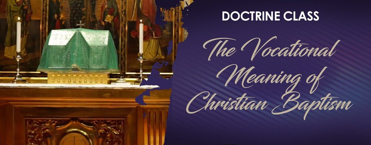 17 1 The Vocational Meaning Of Christian Baptism Summaries Of 17 1 The Vocational Meaning Of Christian Baptism Summaries Of